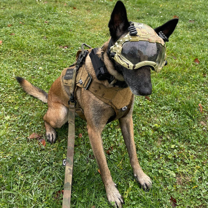 DarkFighter Built-In K9 Camera – Dark Systems