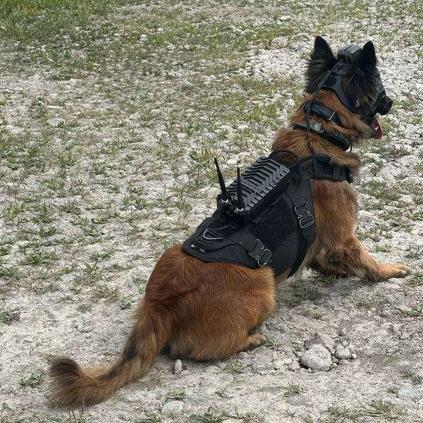 DarkMesh MANET K9 Camera – Dark Systems