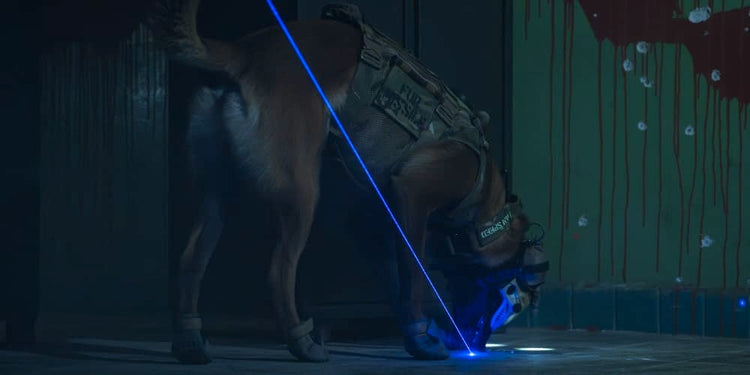 DarkFighter K9 Laser – Dark Systems