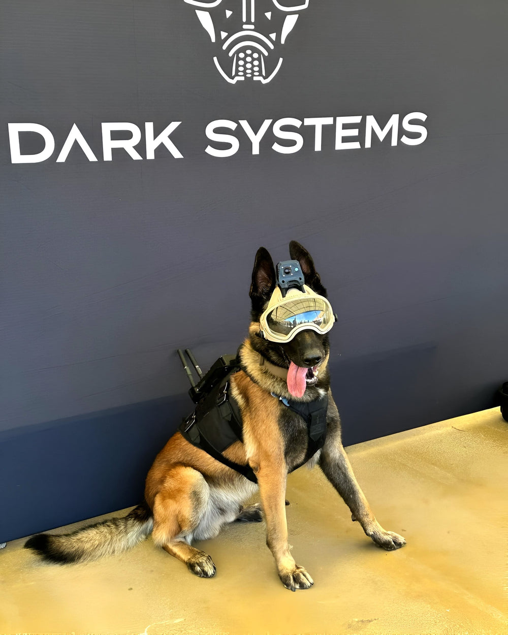 About Us – Dark Systems